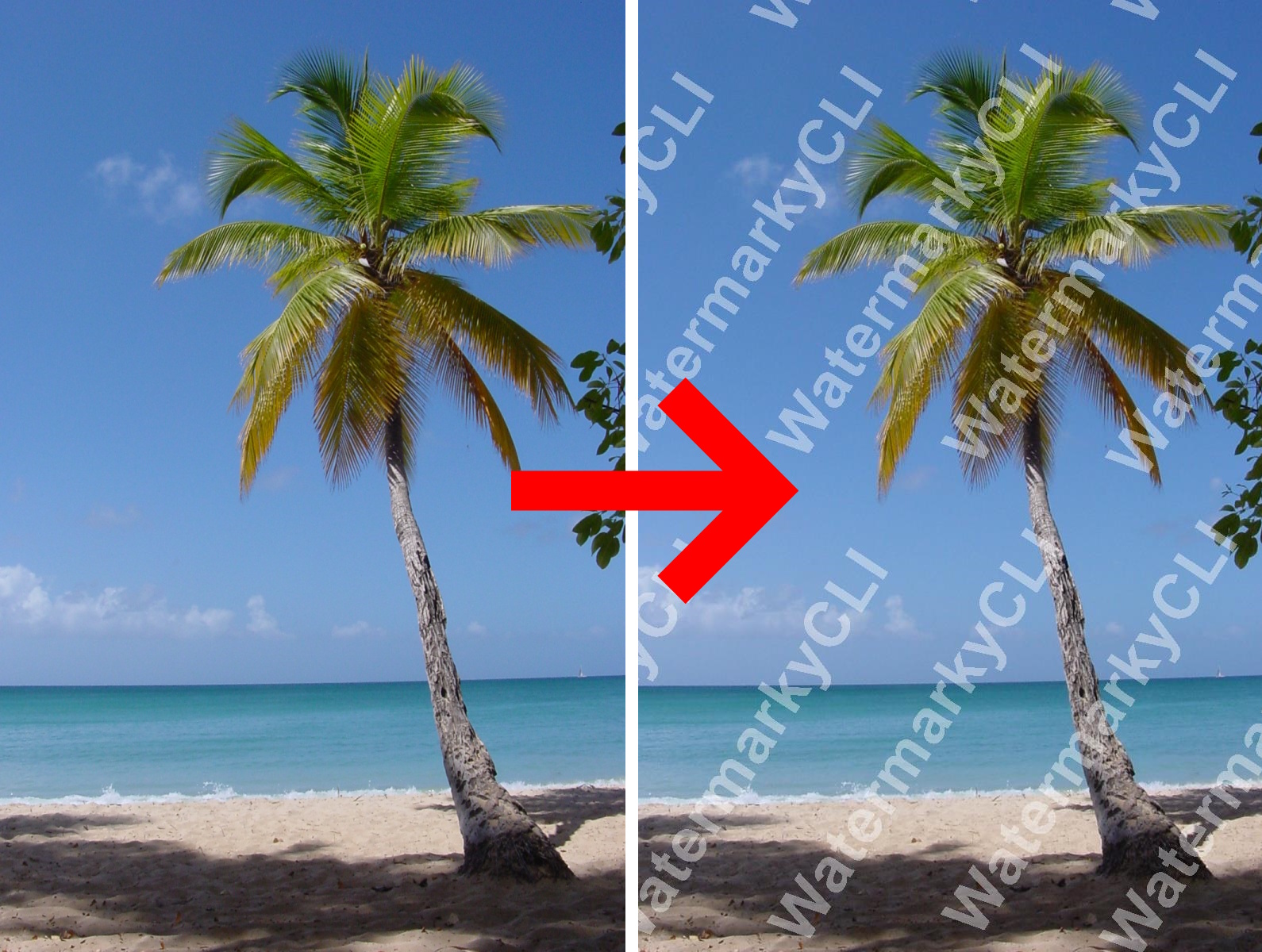 Software: WatermarkyCLI - Gregor Kočar (watermarking tool)
